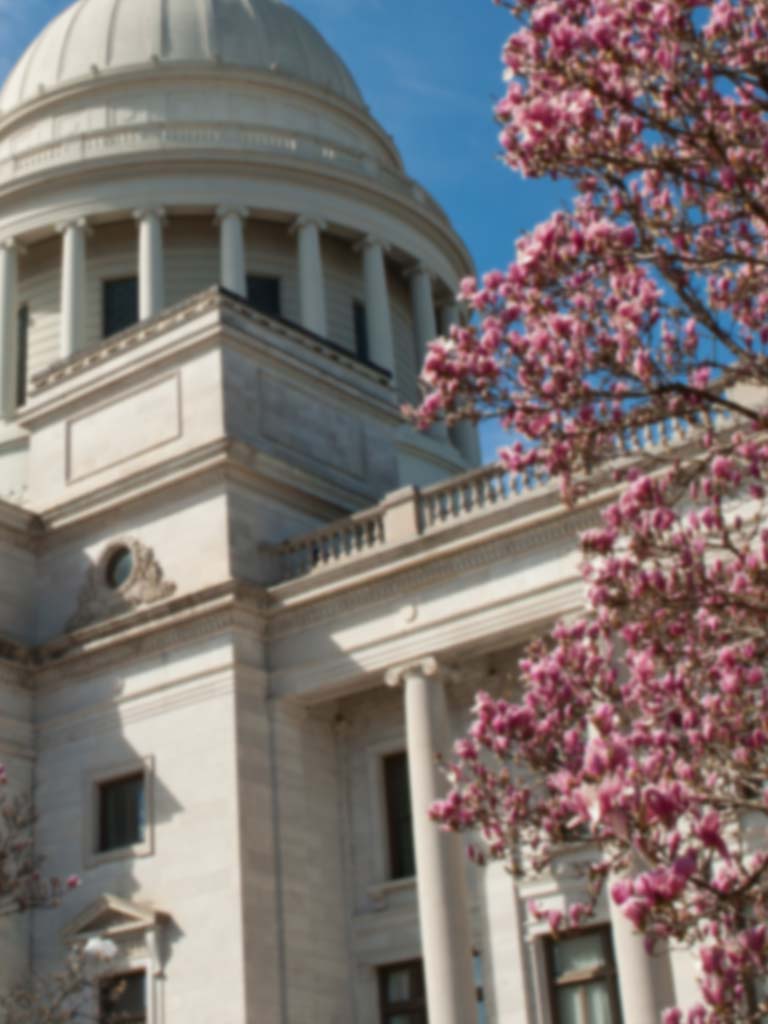 Research Service Division - Bureau of Legislative Research